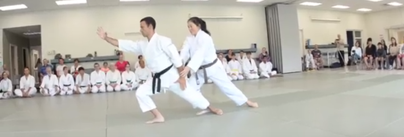 The Meaning of Onegai Shimasu – Luis Patricio